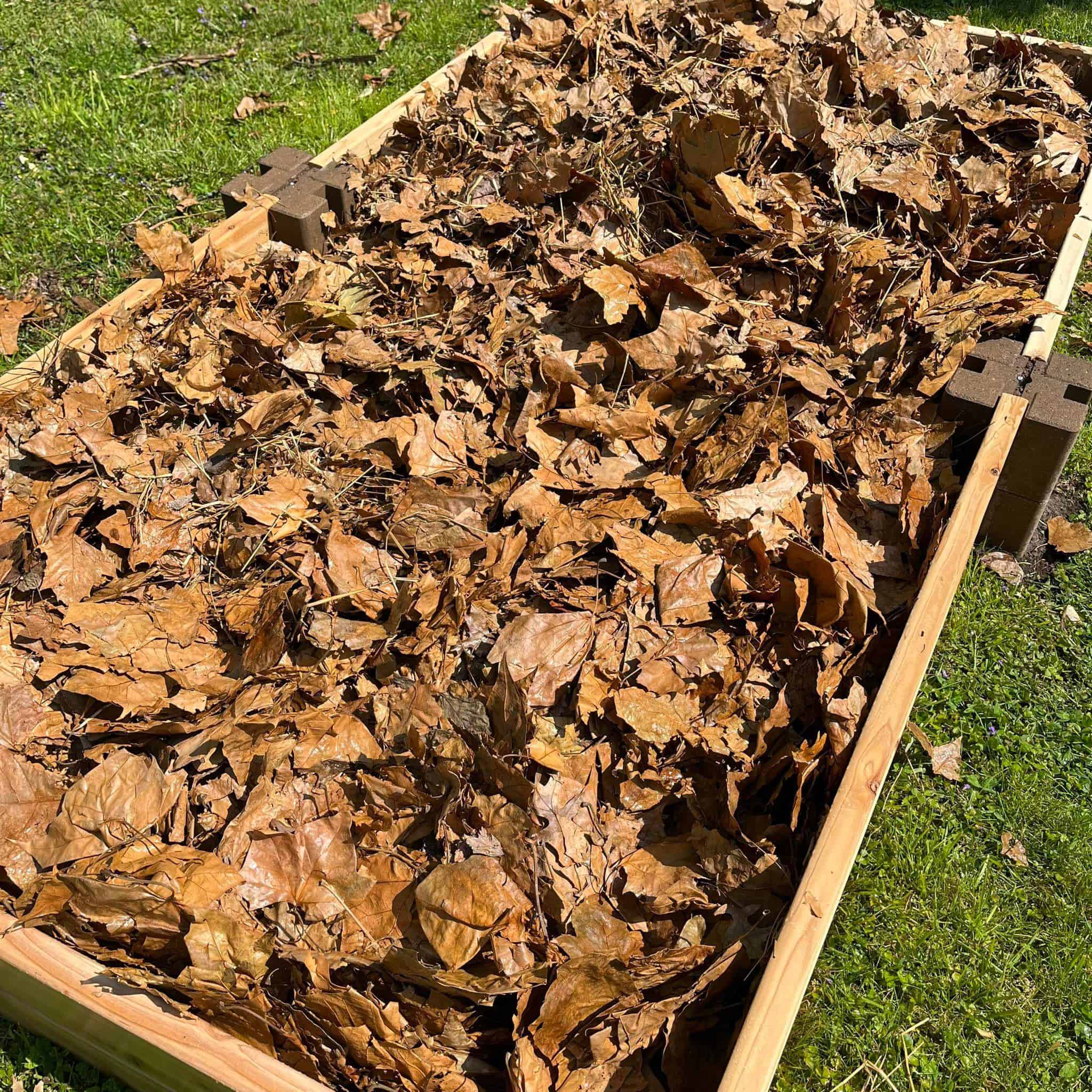 What is the Lasagna Gardening Method (And How To Set One Up In 7 Easy ...