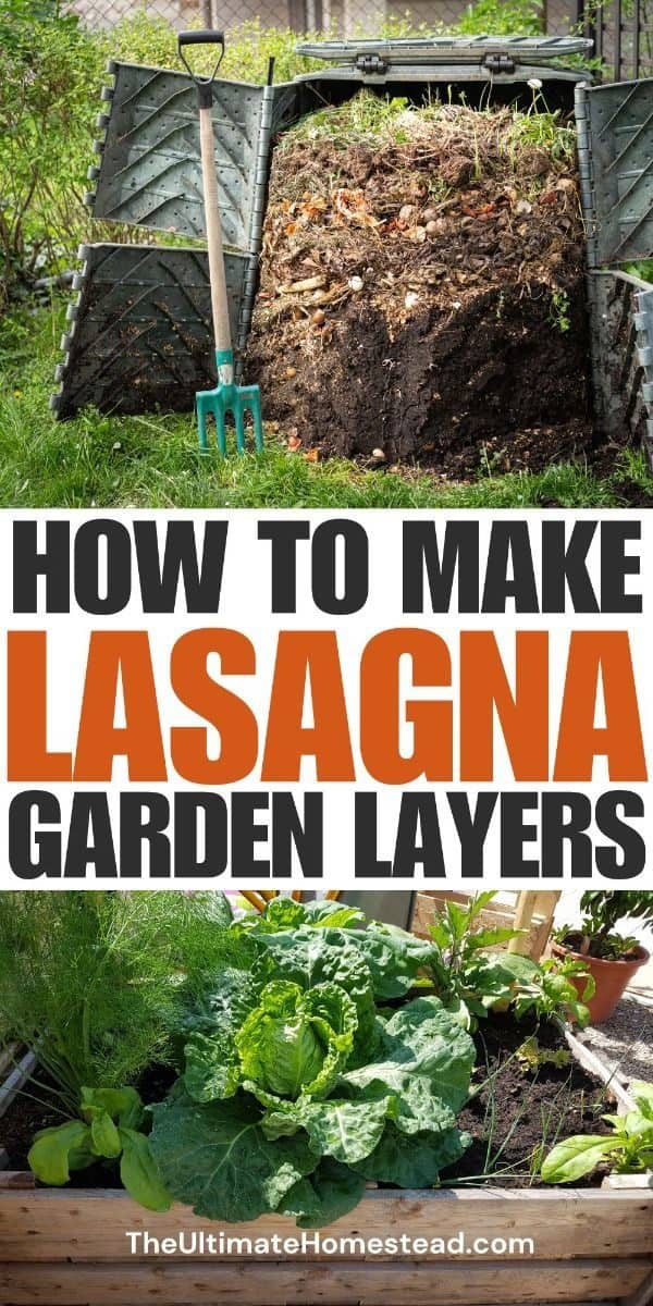 What is the Lasagna Gardening Method (And How To Set One Up In 7 Easy ...