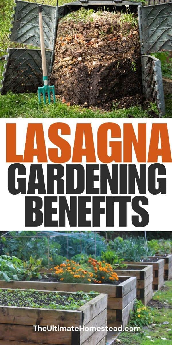 8 Remarkable Advantages of Lasagna Gardening - The Ultimate Homestead