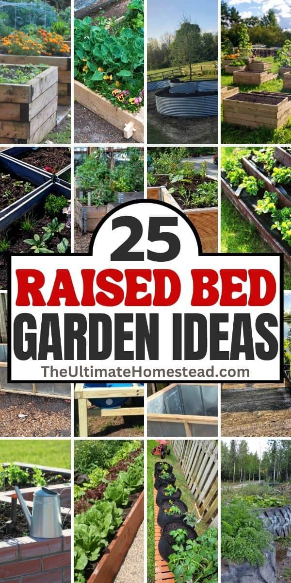 25 Raised Bed Garden Ideas - The Ultimate Homestead