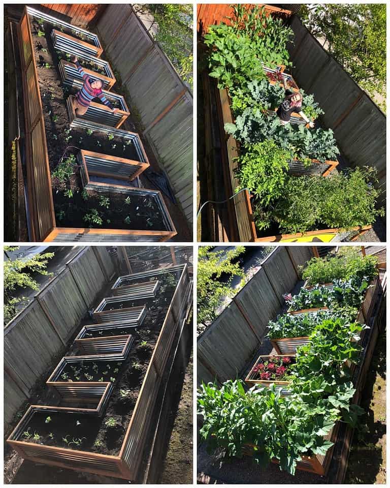 20 Practical Raised Garden Bed Layouts for Every Garden - The Ultimate ...