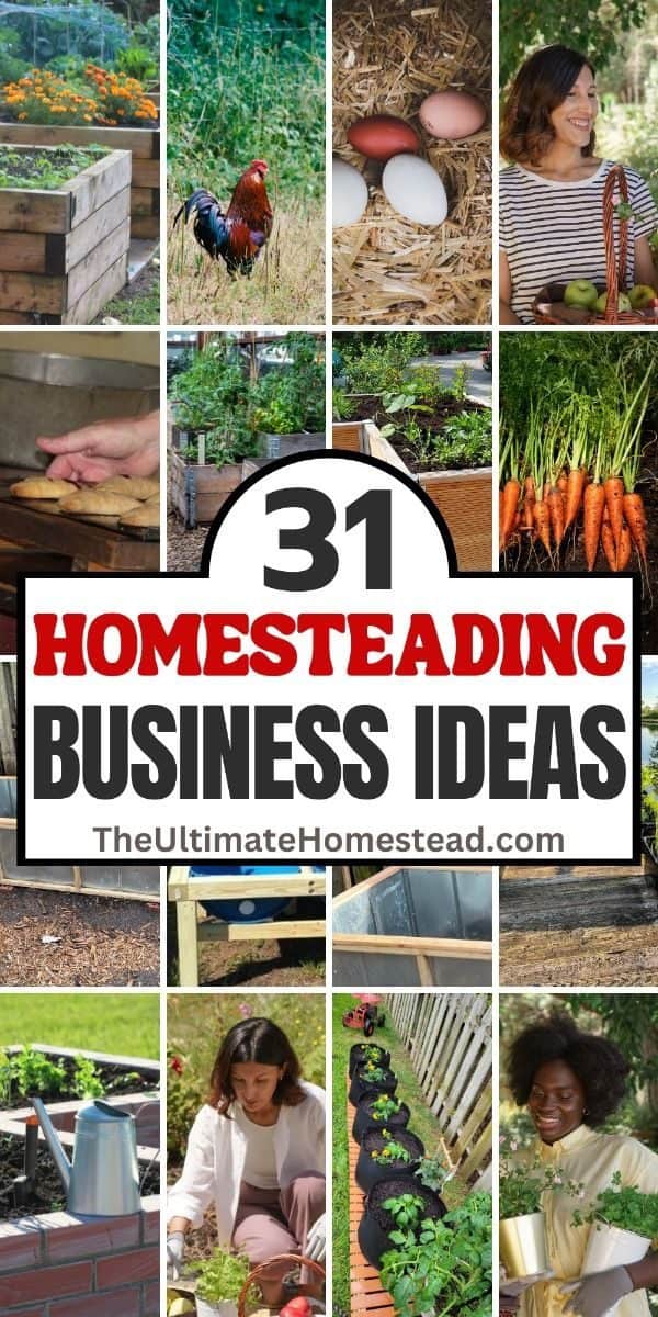 How to Layout a 1-Acre Homestead - The Ultimate Homestead