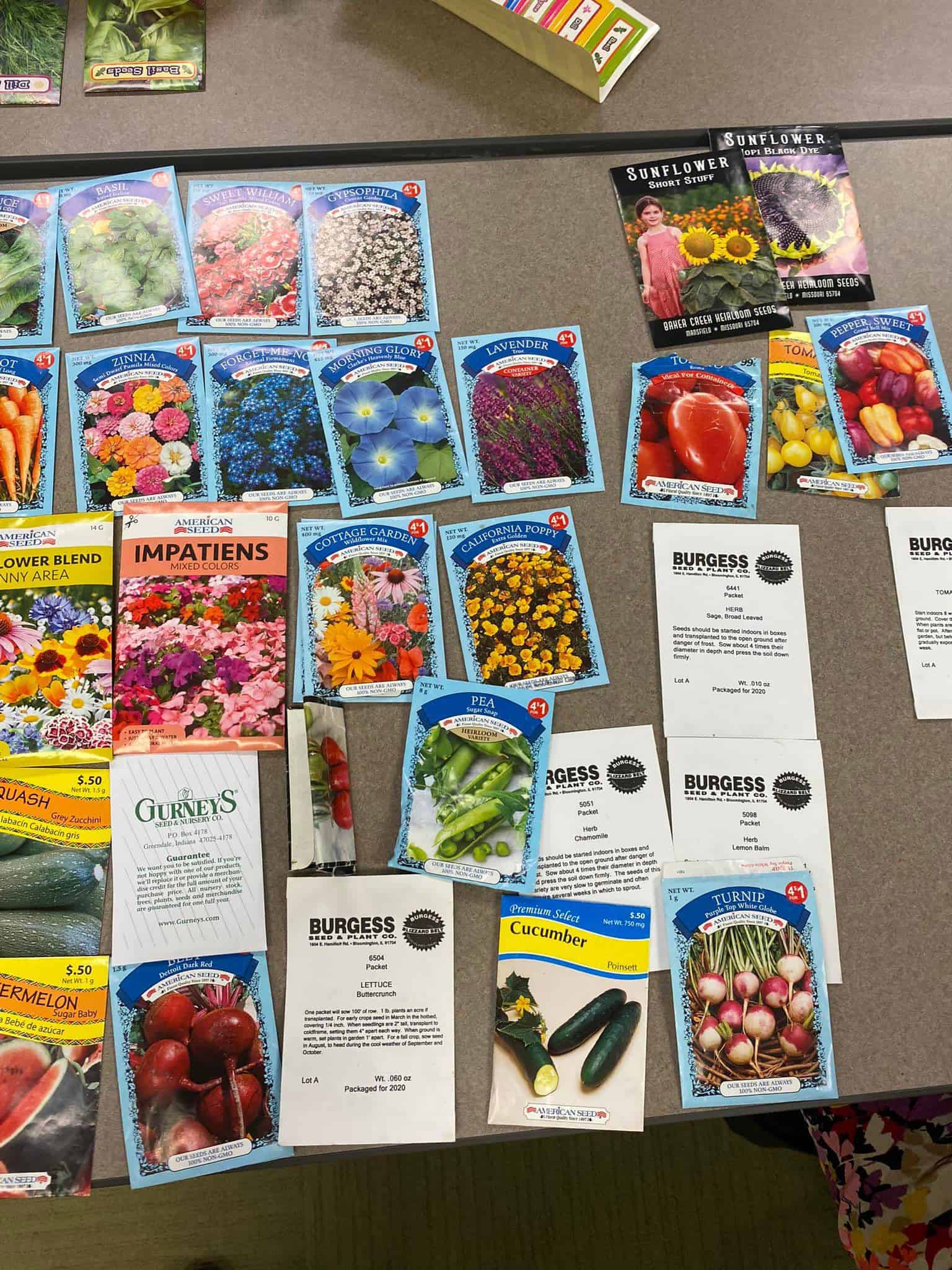 Homesteading for Beginners (6 Basic Steps on How to Start) - The ...