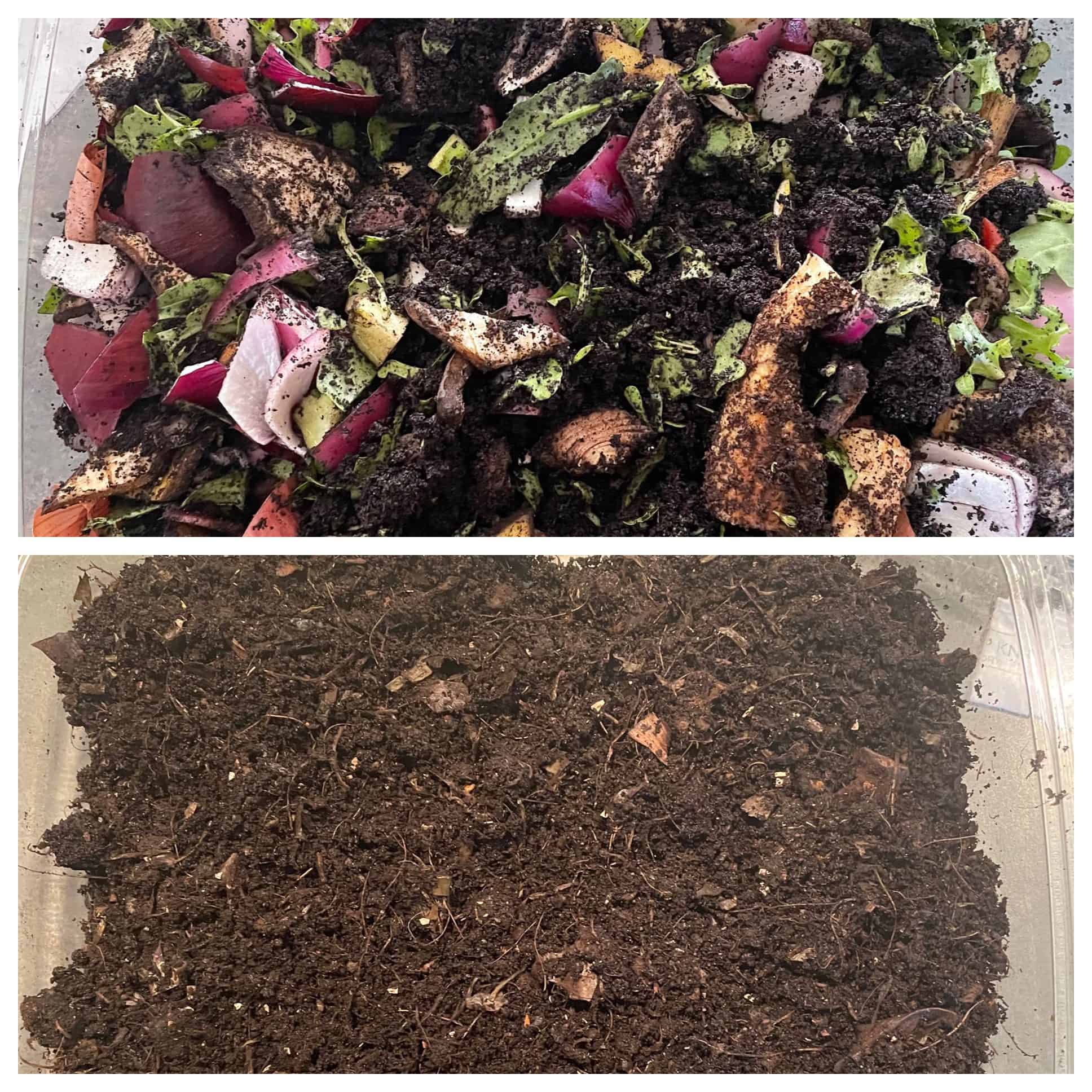 What is Composting? - The Ultimate Homestead