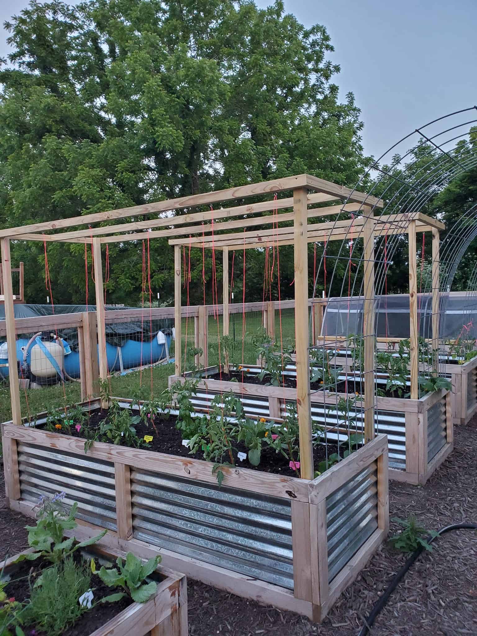 How Deep Should Your Raised Garden Bed Be? Find Out Here - The Ultimate ...