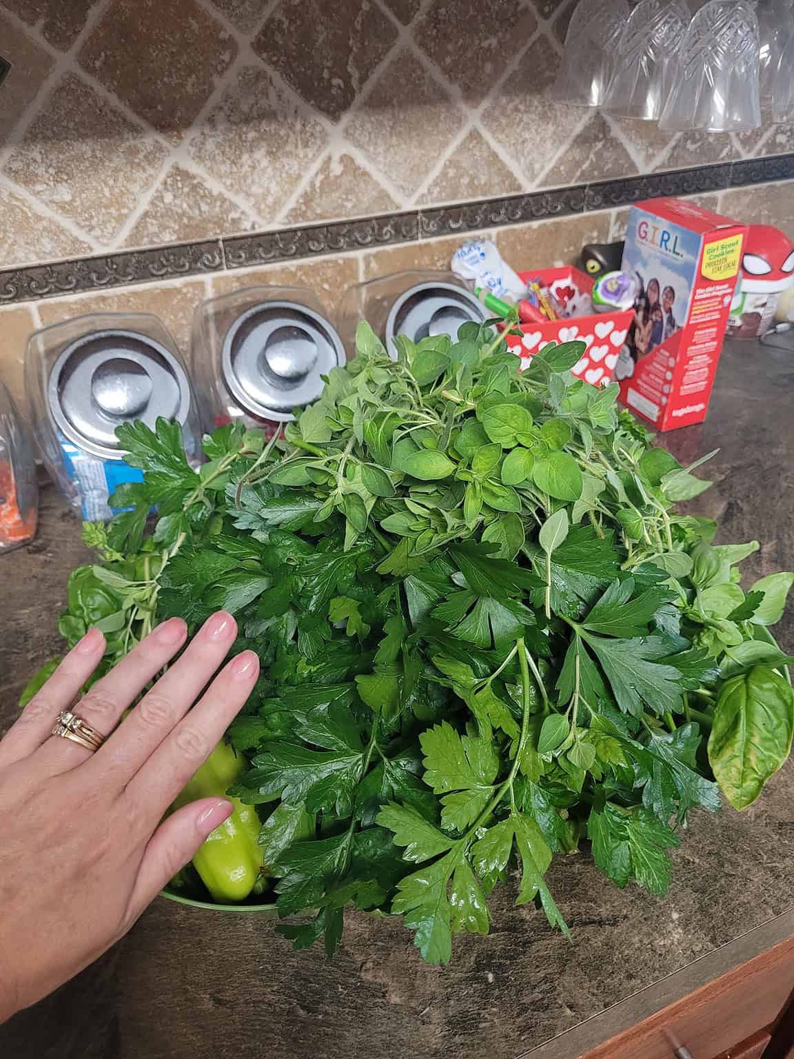 10 Simple Ways to Get Started with Micro-Homesteading As A Beginner ...