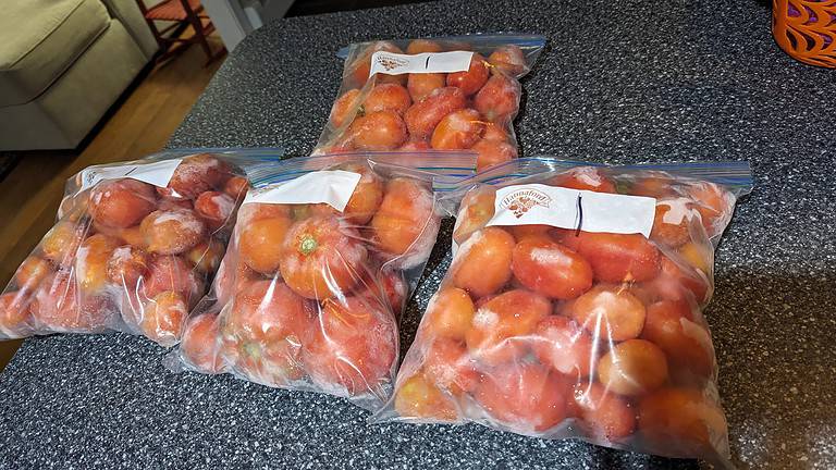 Homesteading For Beginners 6 Basic Steps On How To Start The