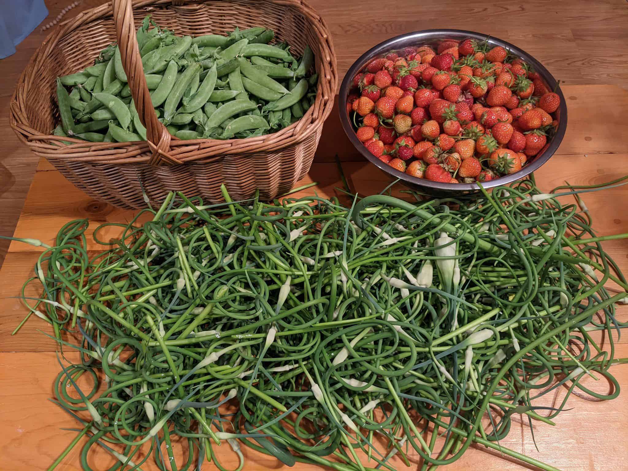 31 Profitable Homestead Business Ideas to Start Today - The Ultimate ...