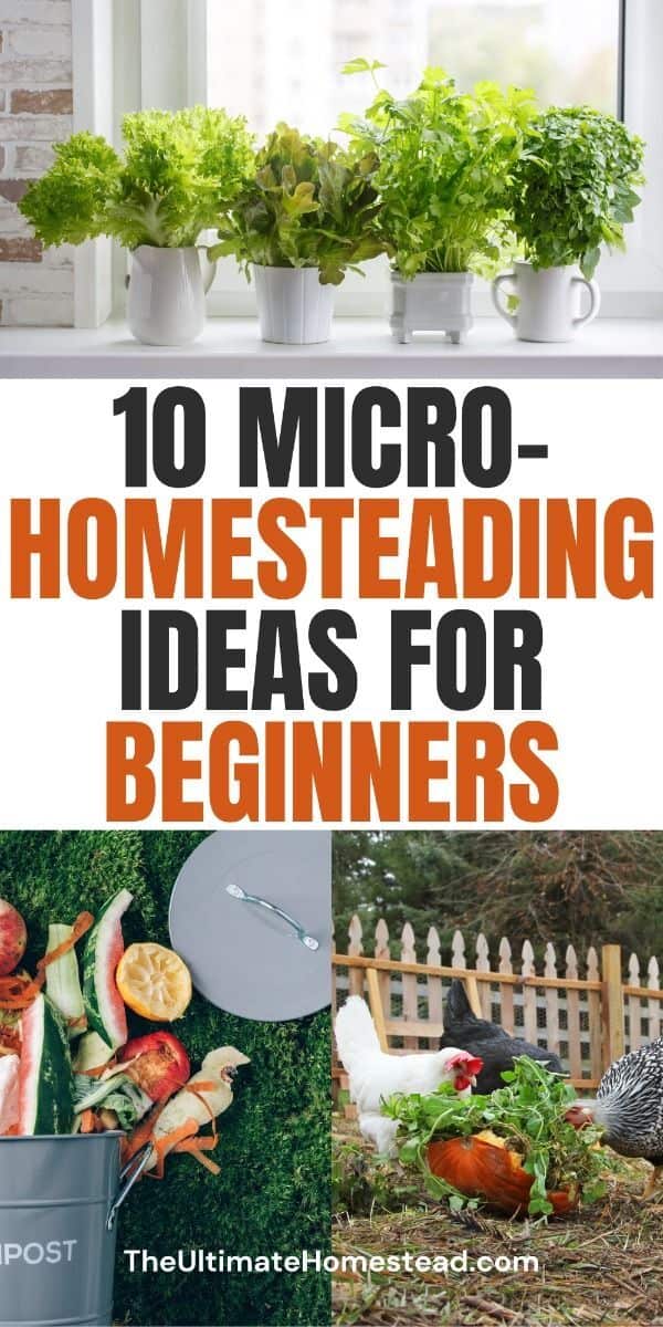 10 Simple Ways to Get Started with Micro-Homesteading As A Beginner ...