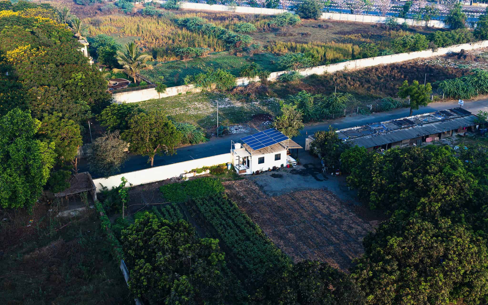 What Is Homesteading and How Can You Start? - The Ultimate Homestead