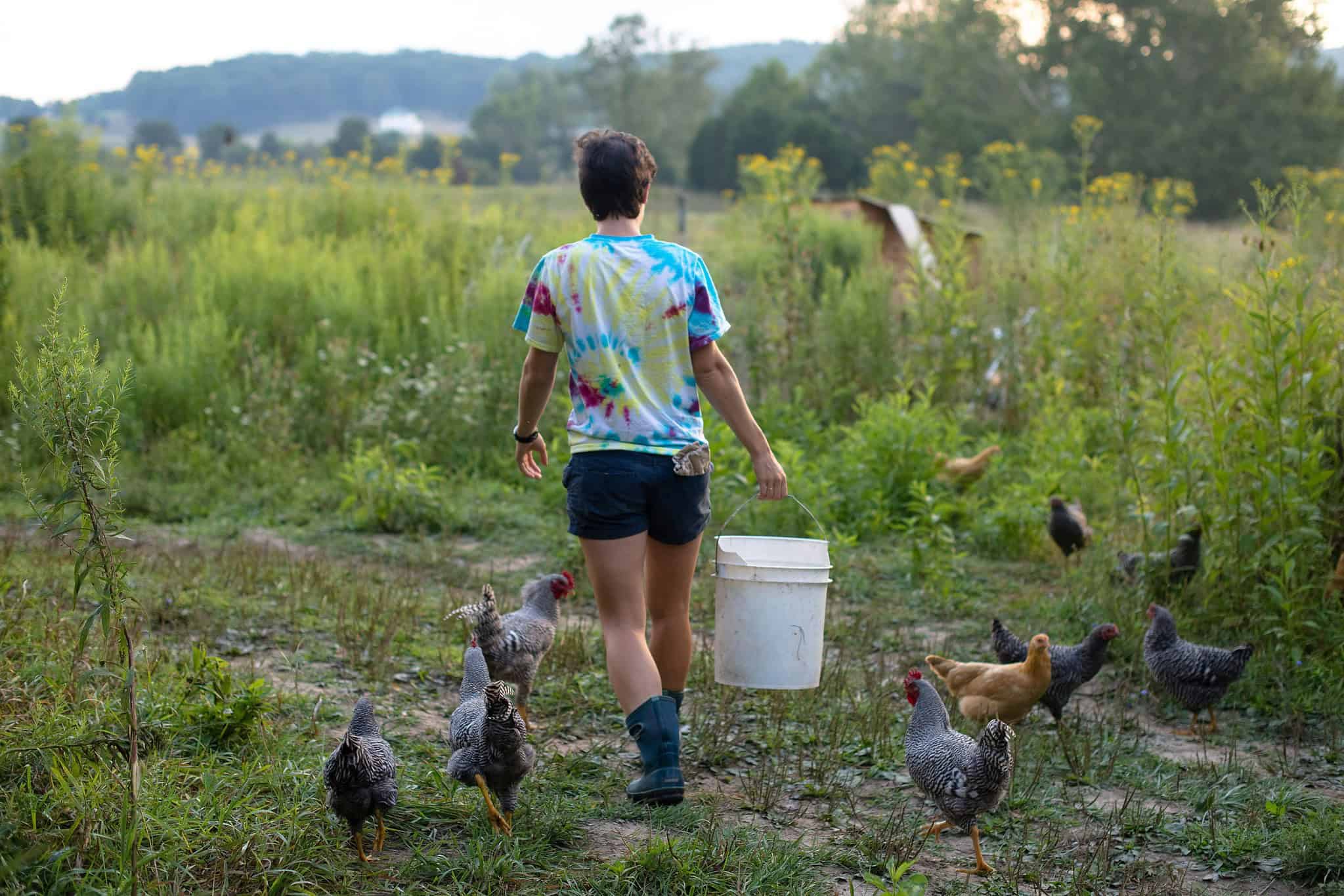 What Is Homesteading and How Can You Start? - The Ultimate Homestead