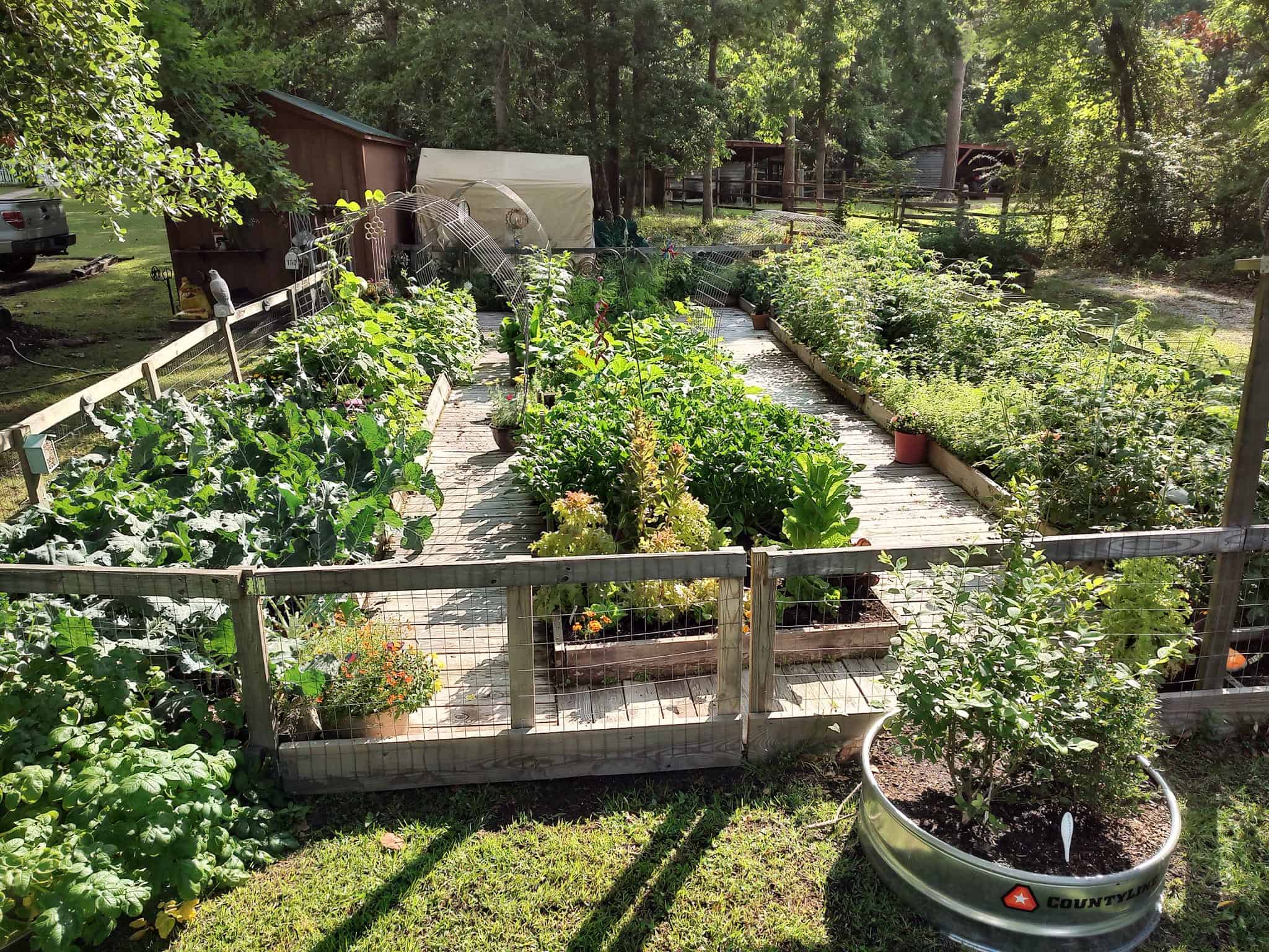 What You Need to Know About Hobby Farms - The Ultimate Homestead