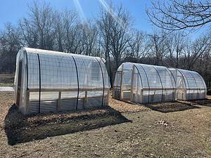 What You Need to Know About Hobby Farms - The Ultimate Homestead