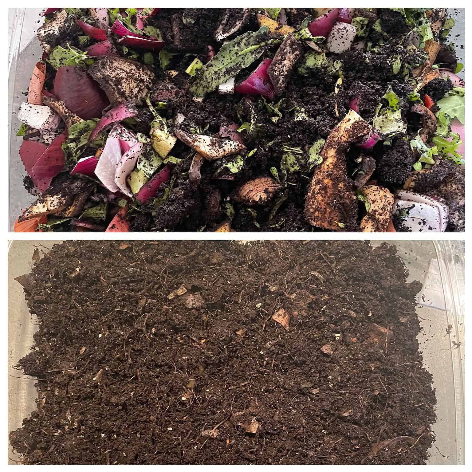 What You Need to Know About Hobby Farms - The Ultimate Homestead