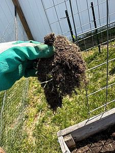 How to Start a Garden in 10 Easy Steps - The Ultimate Homestead