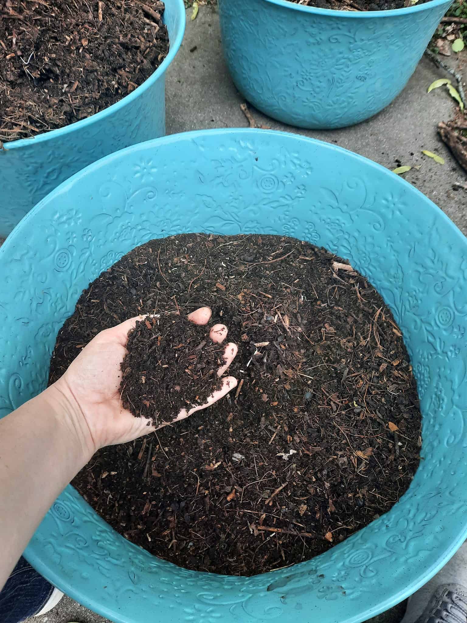 Top 15 Micro-Farming Ideas - The Ultimate Homestead