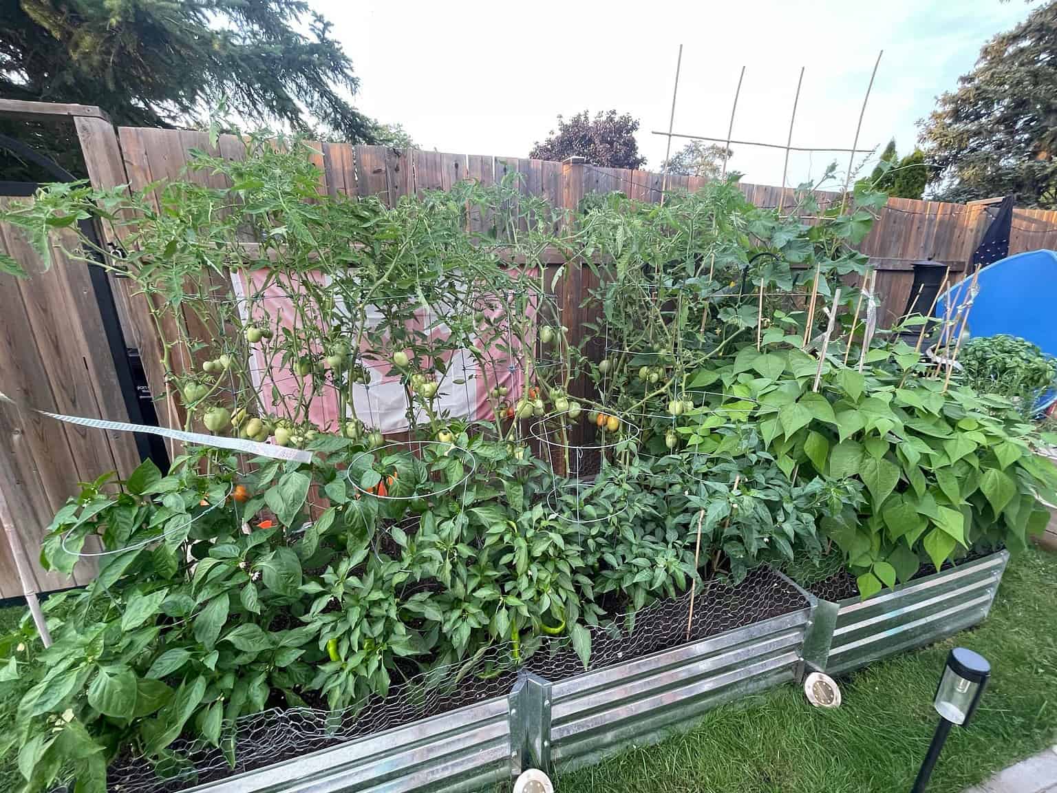 How To Start A Garden In 10 Easy Steps The Ultimate Homestead