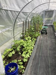Top 15 Micro-Farming Ideas - The Ultimate Homestead