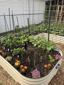 Top 15 Micro-Farming Ideas - The Ultimate Homestead