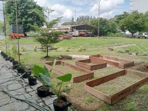 How to Start a Garden in 10 Easy Steps - The Ultimate Homestead