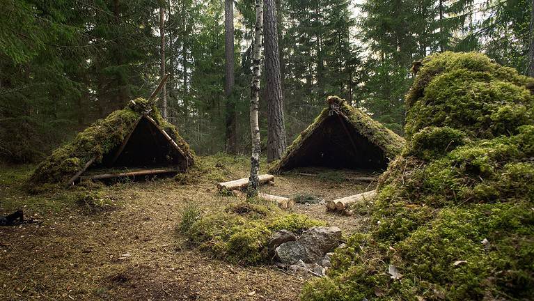 12 Life-Saving Wilderness Survival Hacks You Should Know