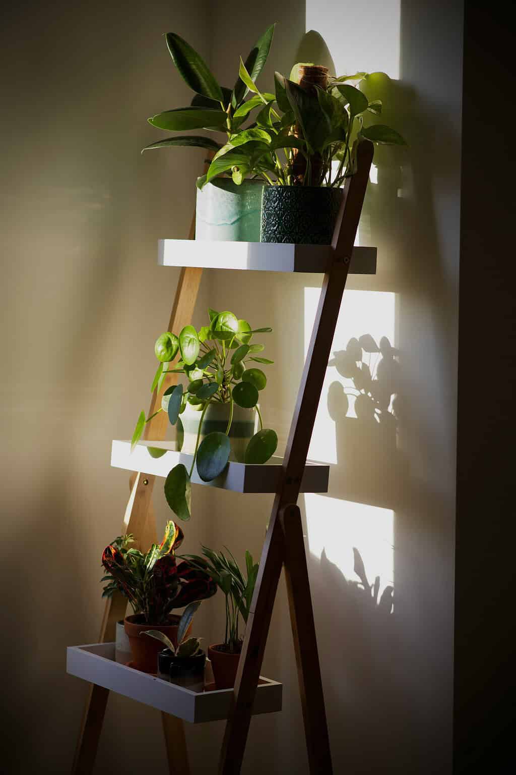 Indoor Gardening for Beginners - The Ultimate Homestead