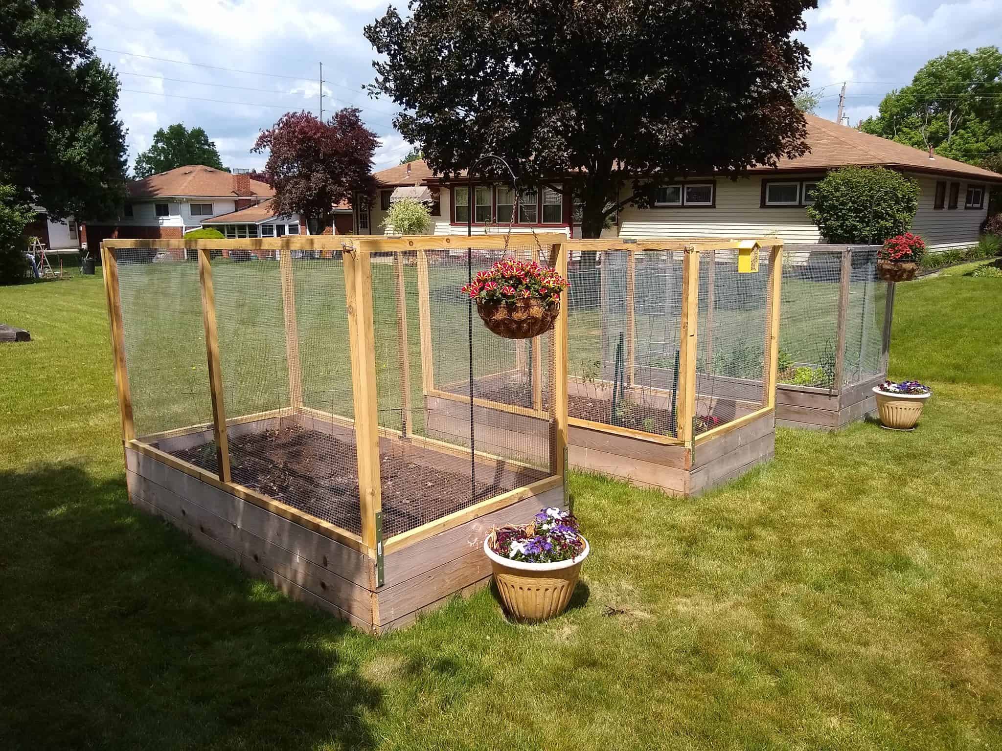 Protect Your Garden Now with a Critter-Proof Raised Bed! - The Ultimate ...