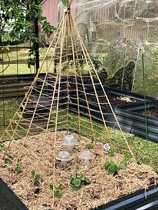 10 Best Trellis Ideas for Raised Beds (Grow More in Less Space!) - The ...