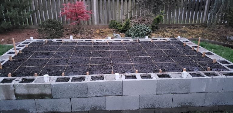 Square Foot Gardening Guide for Beginners - The Ultimate Homestead