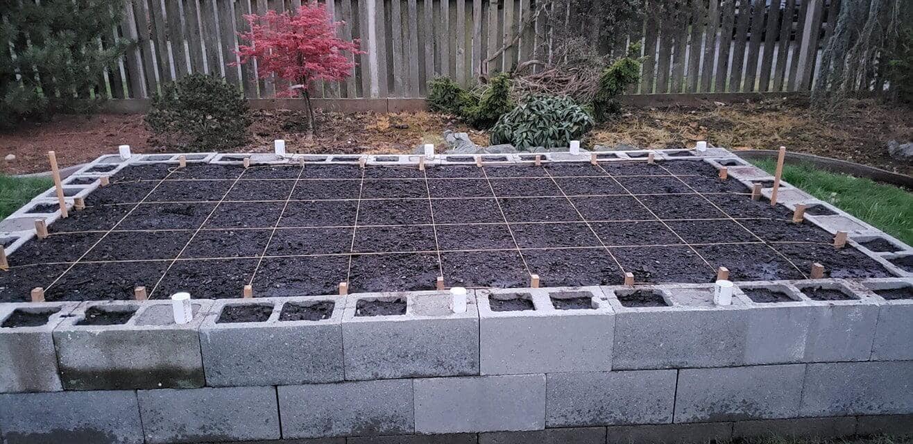 Square Foot Gardening Guide for Beginners - The Ultimate Homestead