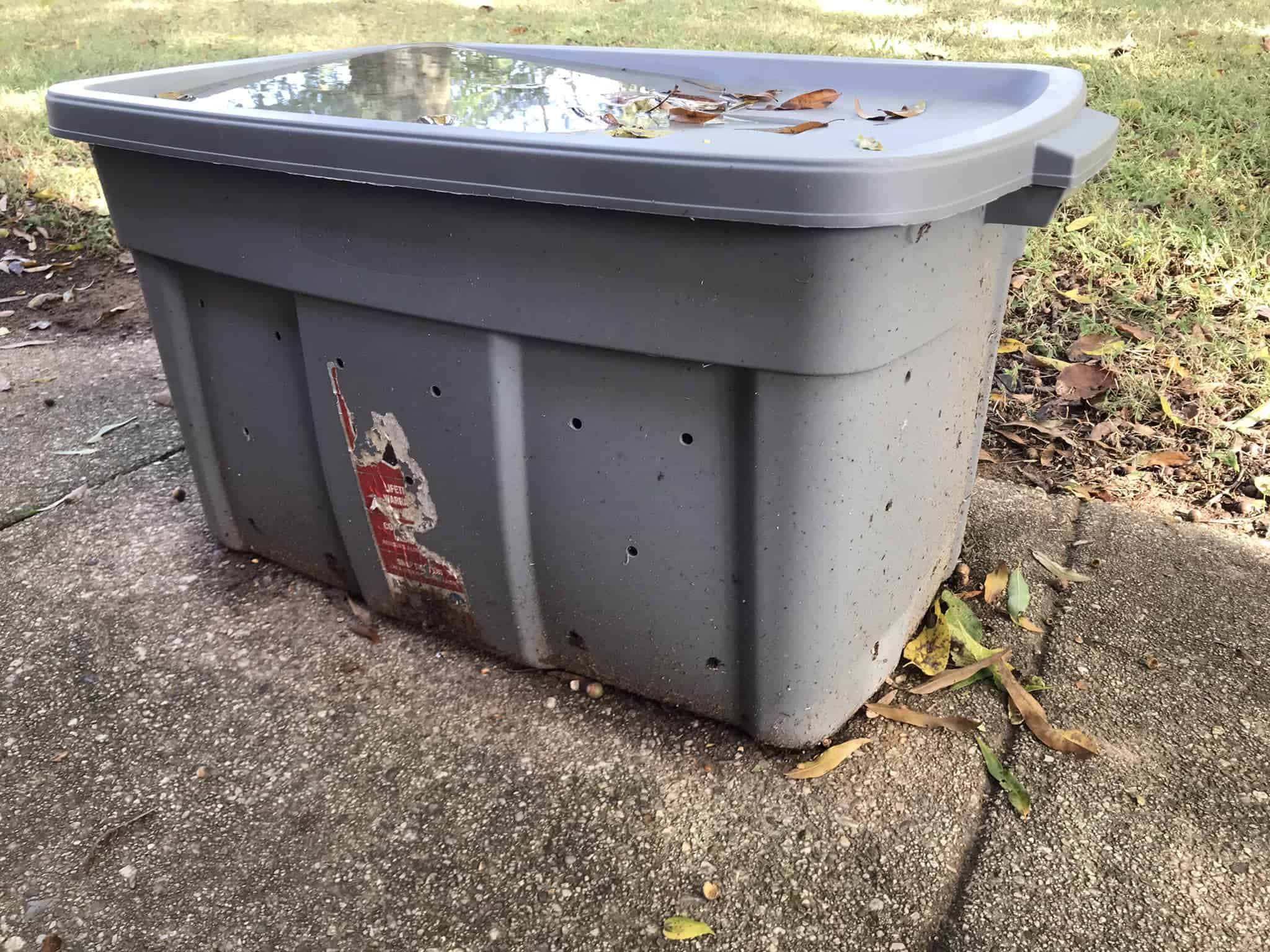 How to Build a Worm Composting Bin (7 Easy Step-by-Step Guide) - The ...