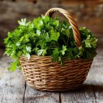 How to Harvest Parsley Properly (for Fresh Growth and Bigger Yields ...