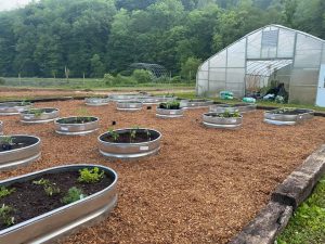 10-Acre Homestead Layout for Farming, Gardening, and Living Off-Grid ...