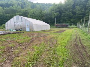 20-Acre Homestead Layout (How to Plan & Design Your Dream Farm!) - The ...