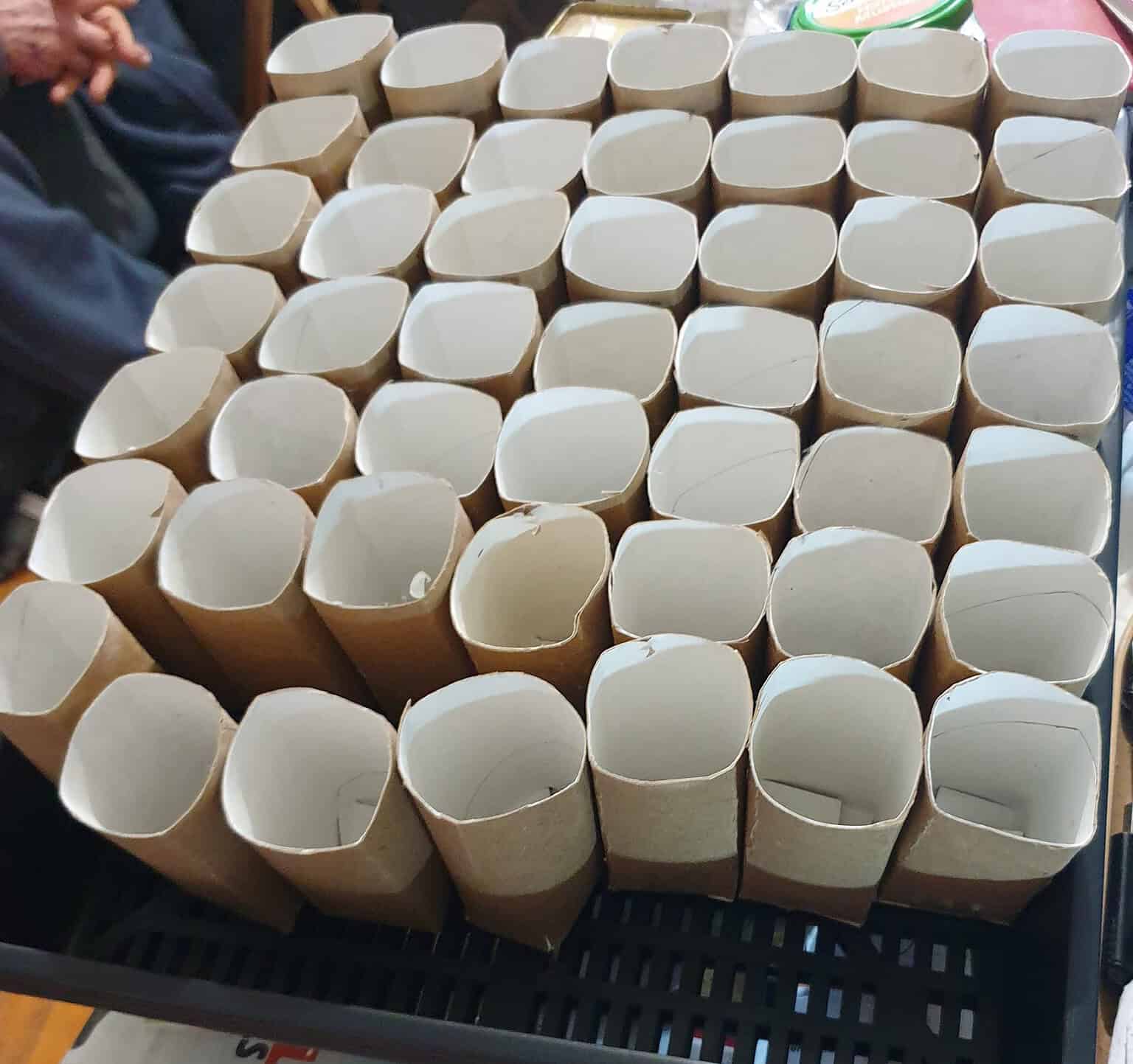 Seed Starting Setup (A Budget-Friendly DIY Guide for Beginners) - The ...