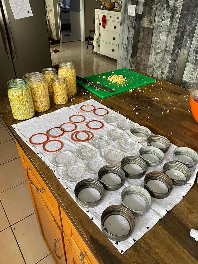 Canning for Beginners (Tips, Tricks, and Safety Guidelines) - The ...