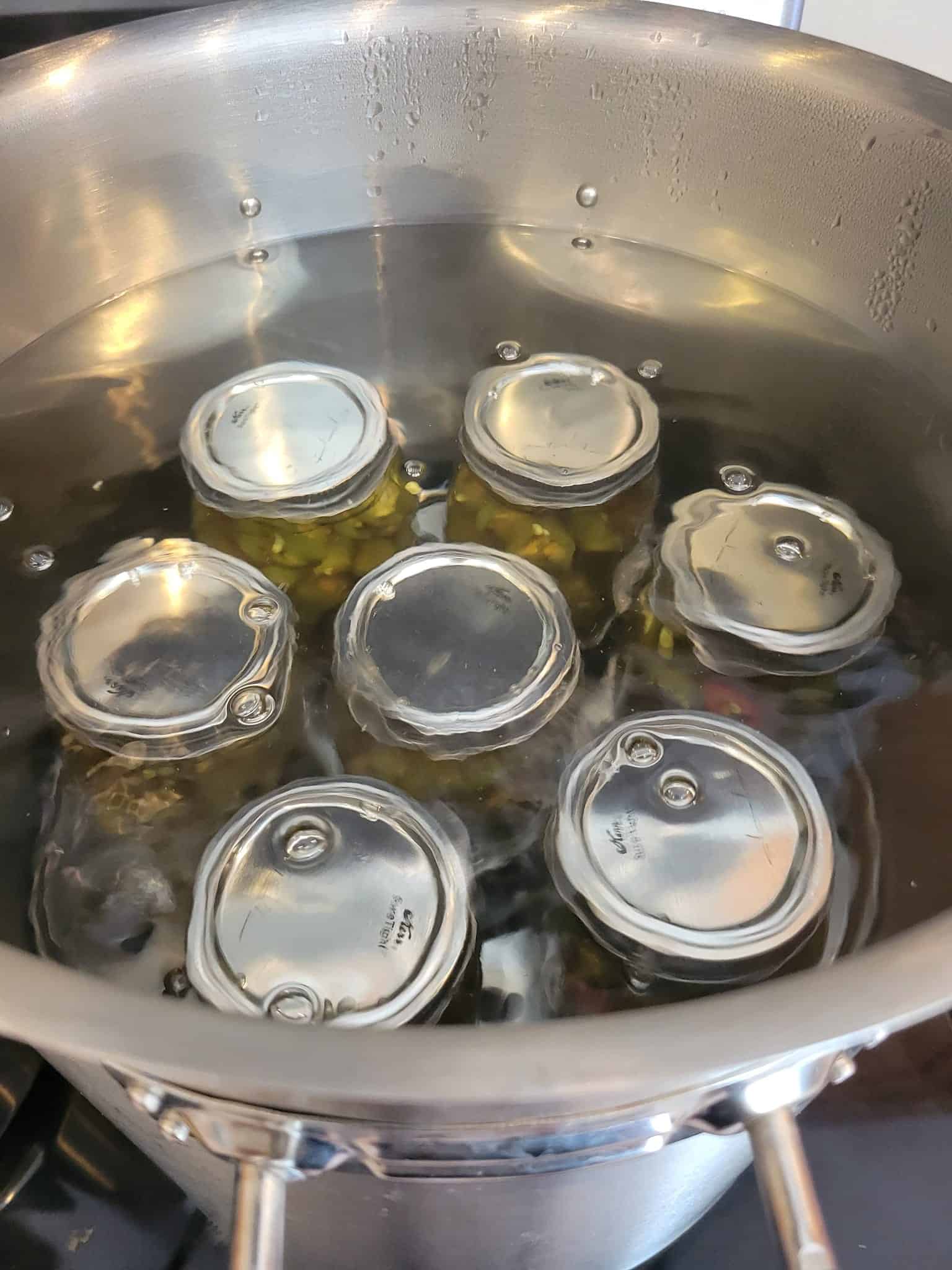 Canning for Beginners (Tips, Tricks, and Safety Guidelines) - The ...