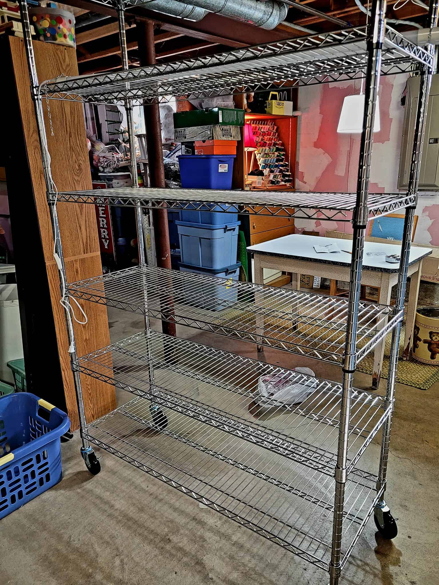 Seed Starting Setup (A Budget-Friendly DIY Guide for Beginners) - The ...