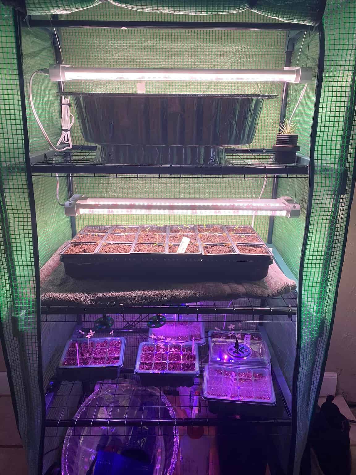 Seed Starting Setup (A Budget-Friendly DIY Guide for Beginners) - The ...