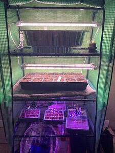 Seed Starting Setup (A Budget-Friendly DIY Guide for Beginners) - The ...