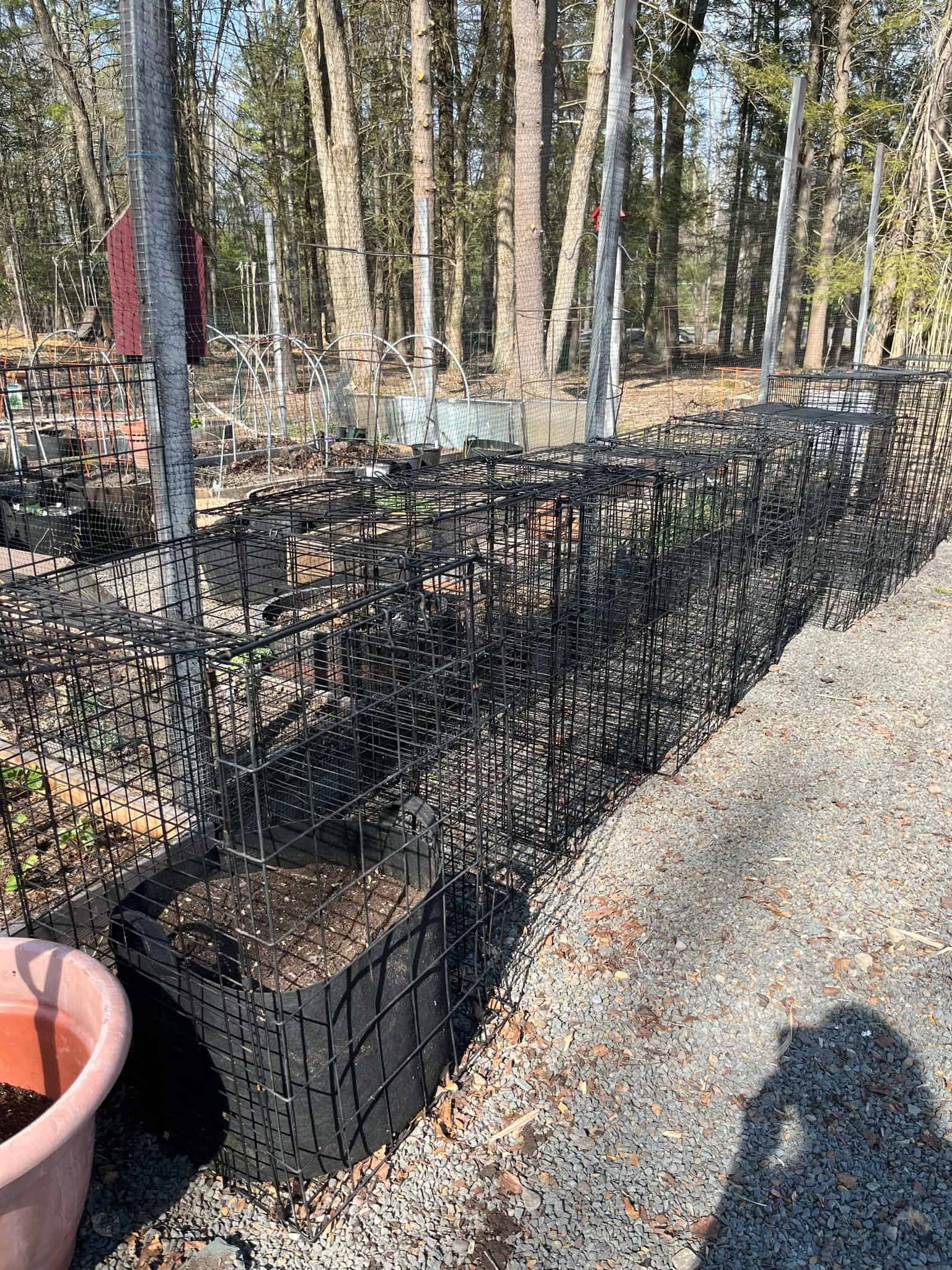 Effective Deer Fencing Solutions for Protecting Your Garden - The ...