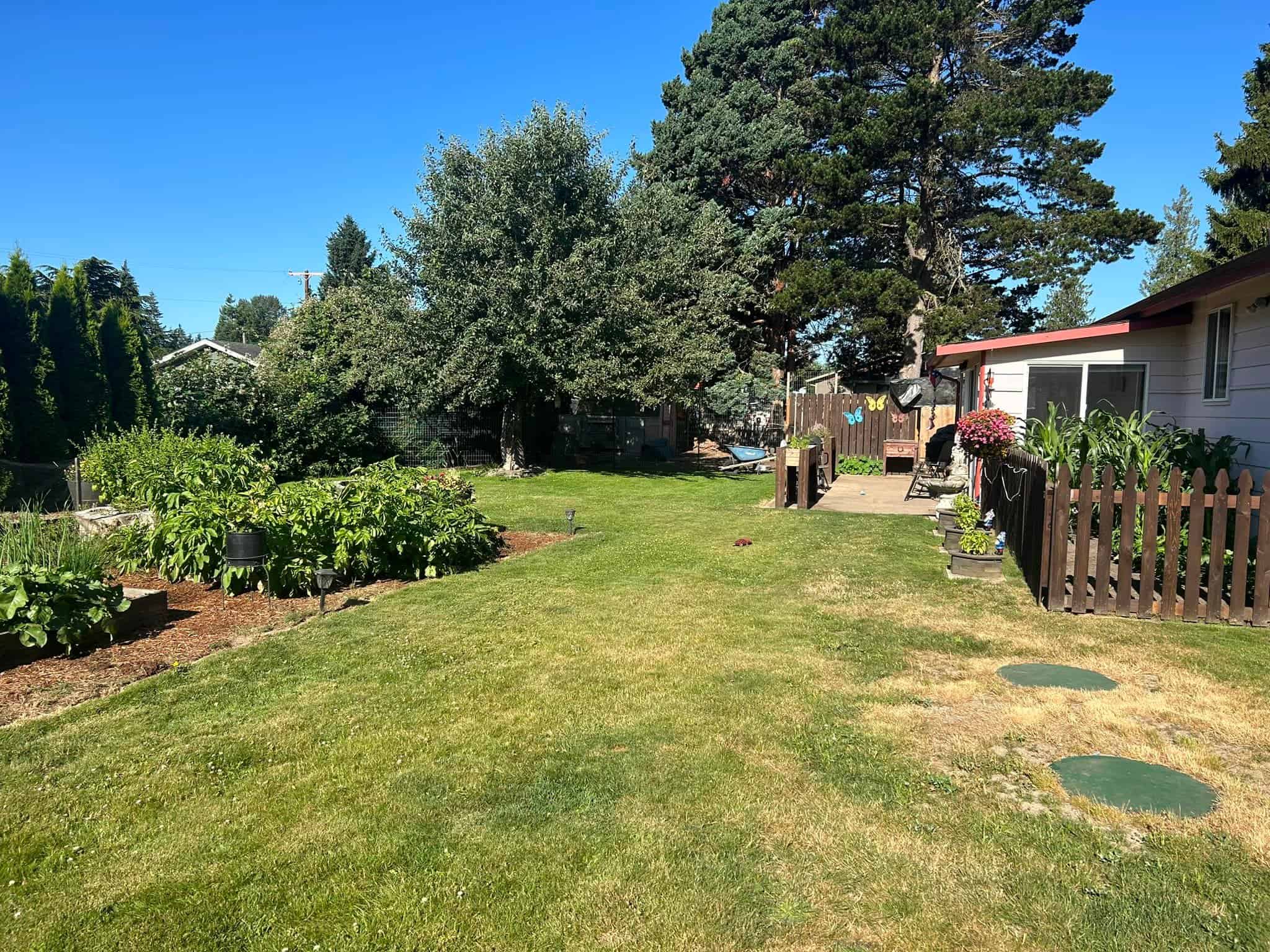 How to Design a Medicinal Herb Garden Layout - The Ultimate Homestead