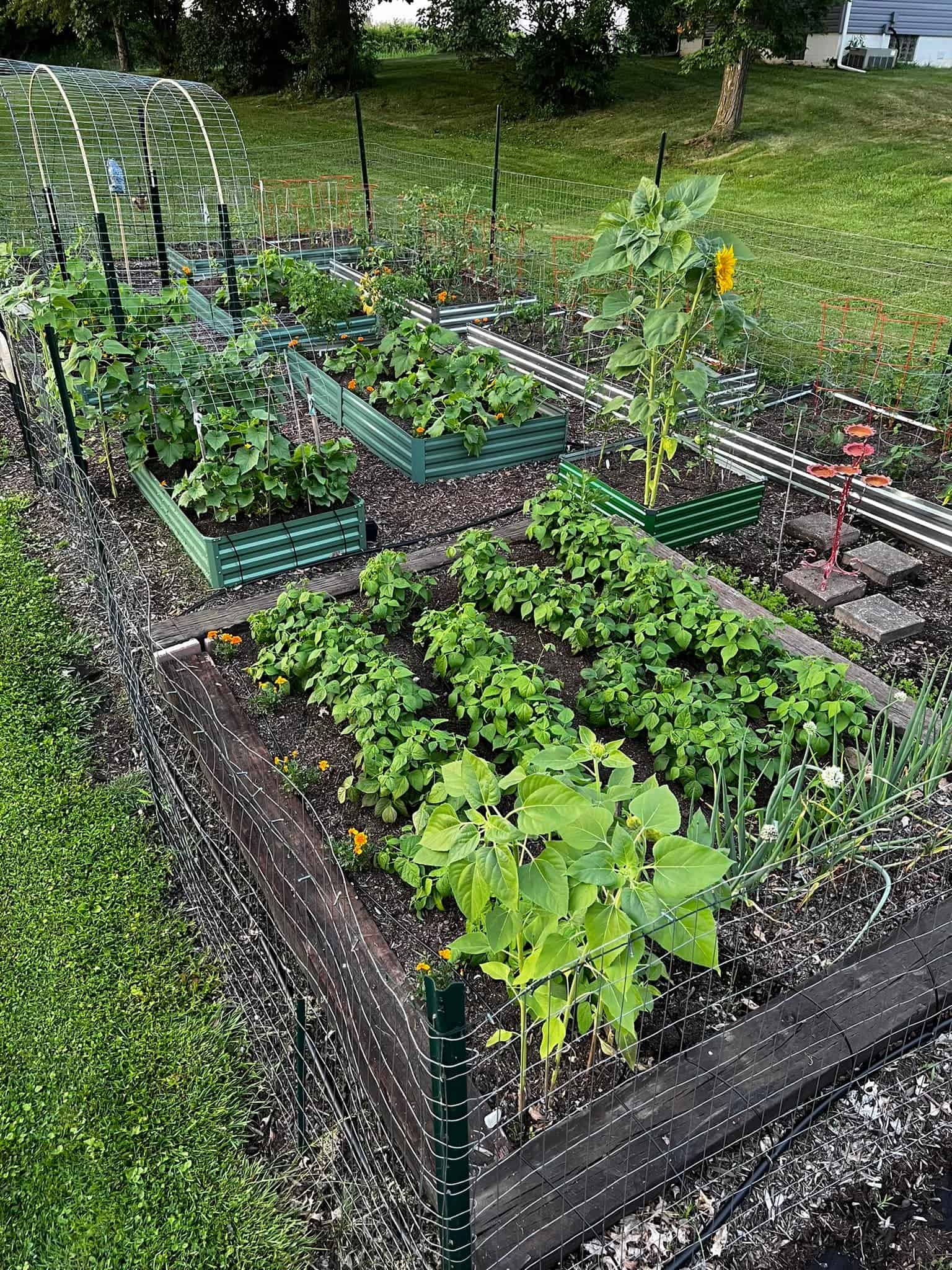 Homestead Garden Layout (How to Design a Productive, Practical Garden ...