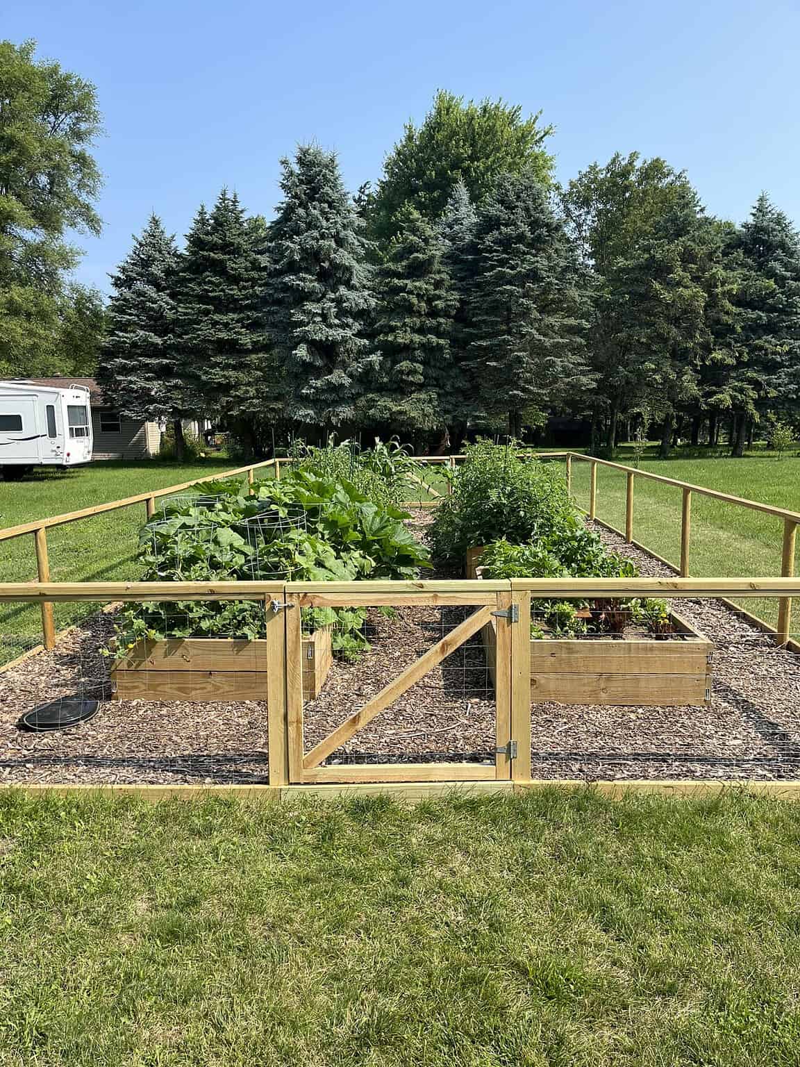 Succession Planting Chart (How to Plan for Continuous Harvests) - The ...