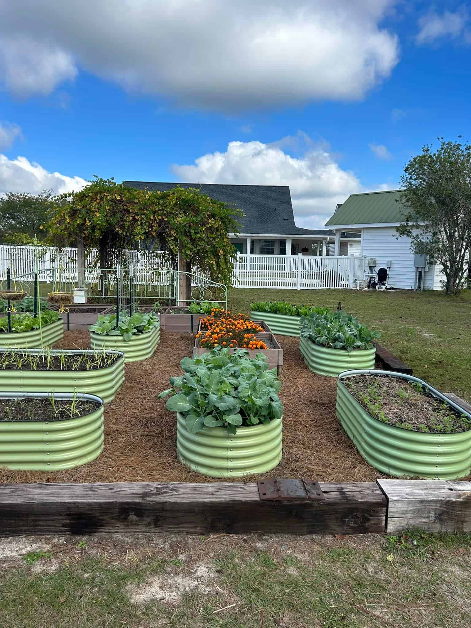 Designing a 2-Acre Homestead Layout - The Ultimate Homestead