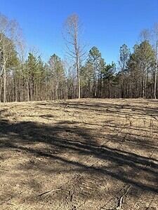 10-Acre Homestead Layout for Farming, Gardening, and Living Off-Grid ...