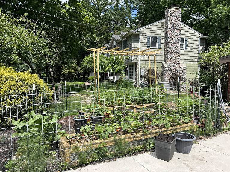 Effective Deer Fencing Solutions for Protecting Your Garden - The ...