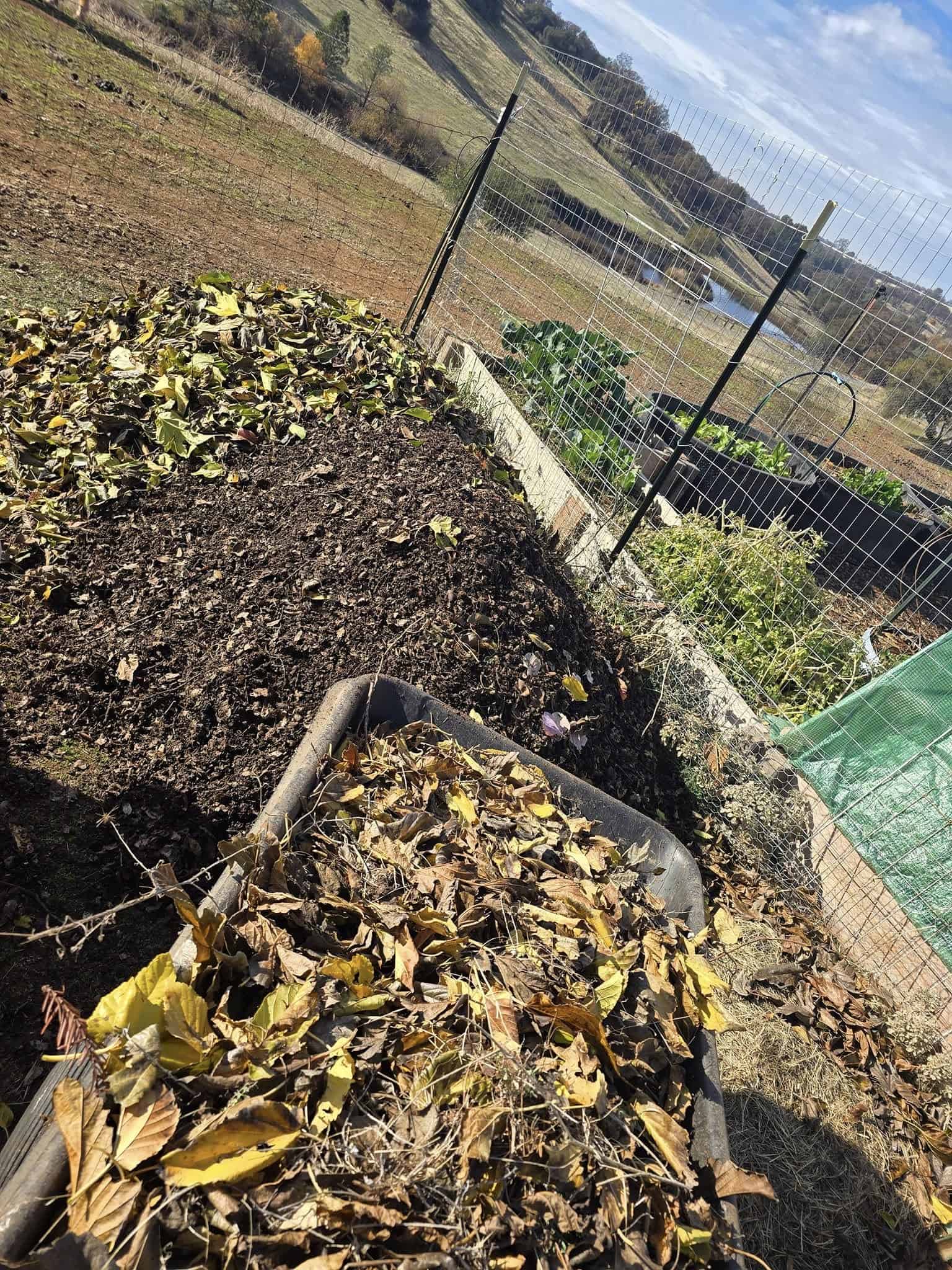 Succession Planting Chart (How to Plan for Continuous Harvests) - The ...