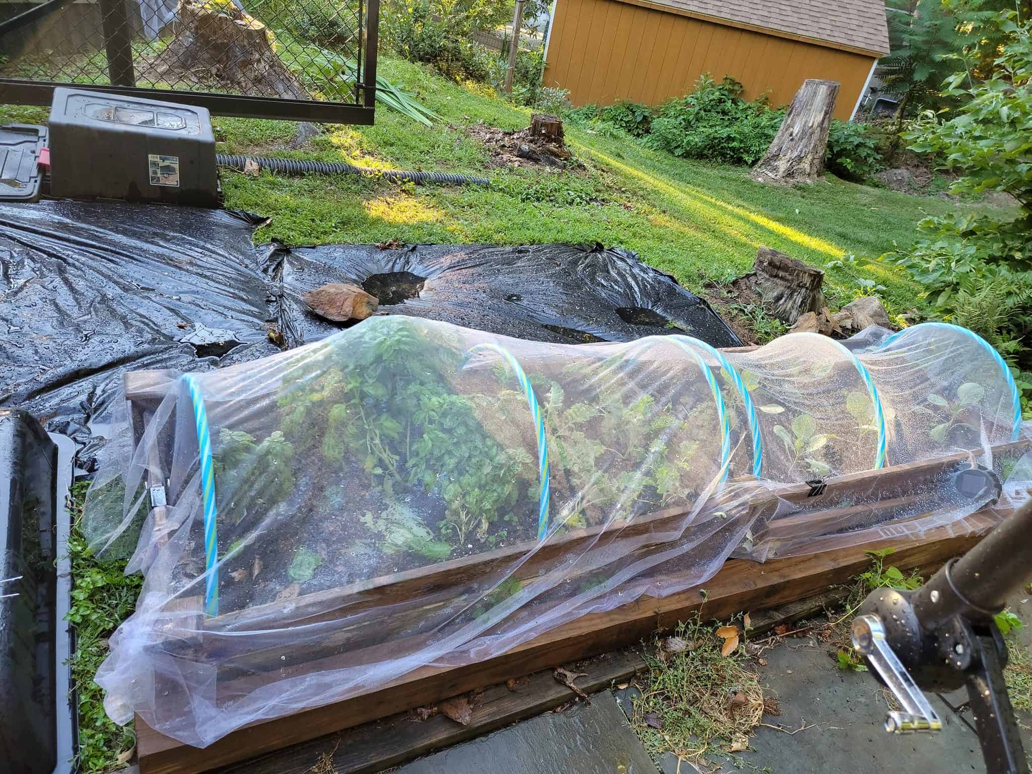 15 Garden Fence Ideas for Privacy, Protection, and Style - The Ultimate ...