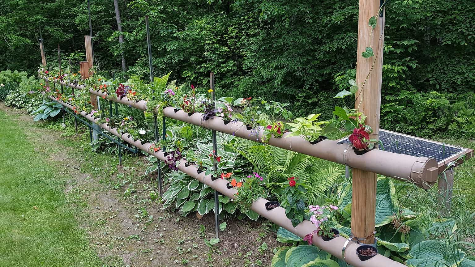 How to Build a DIY Hydroponic System at Home - The Ultimate Homestead